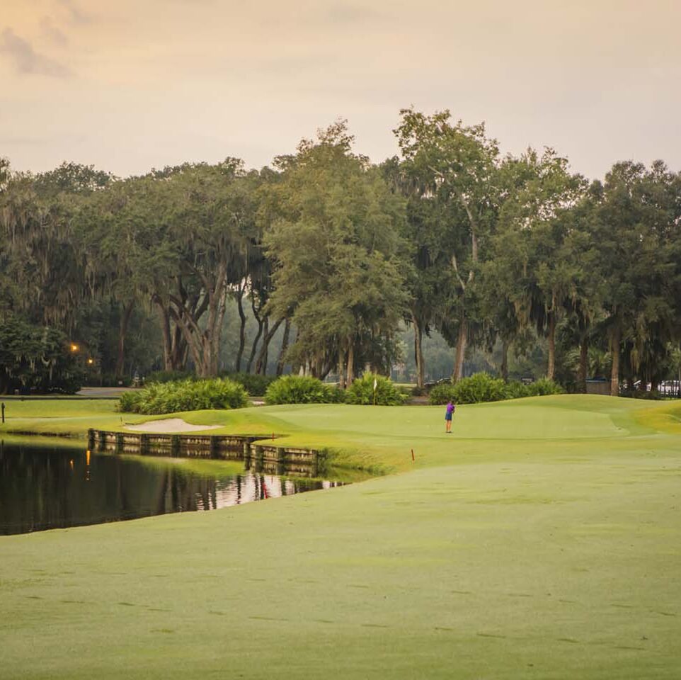 Activities - St. Simons Island - St. Simons Island Beach Rentals