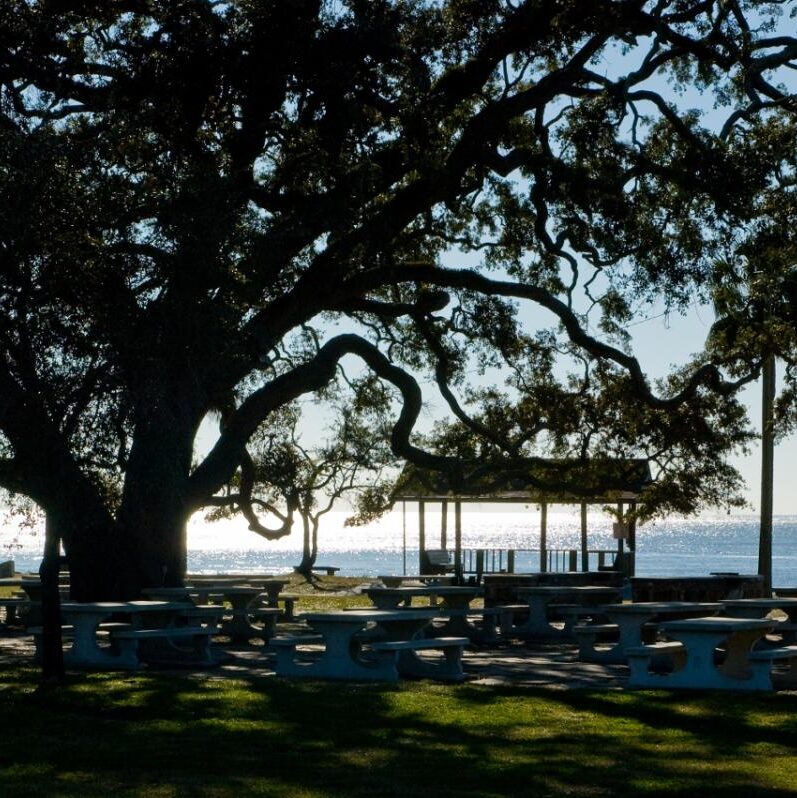 Activities - St. Simons Island - St. Simons Island Beach Rentals